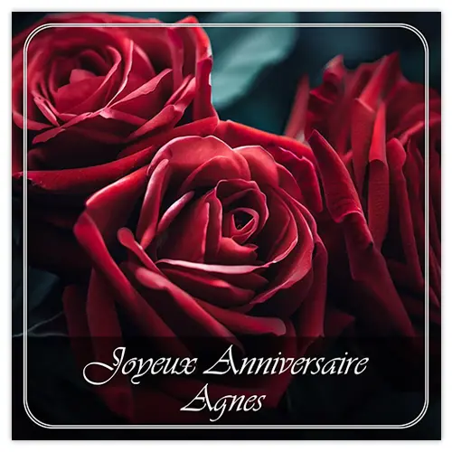 Joyeux Anniversaire Agnes – calendrier.su